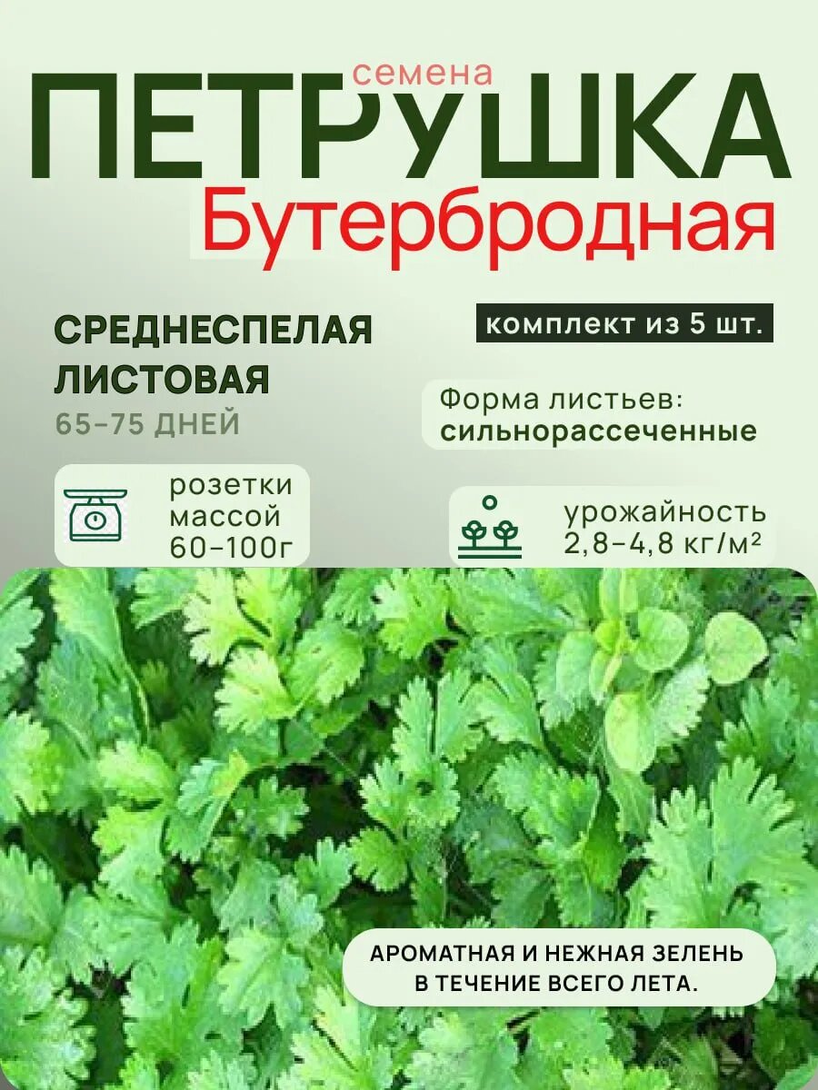 Семена петрушки "Бутербродная" , многолетние, теневыносливые, 5 пакетов
