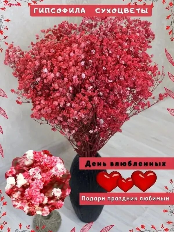 Сухоцветы Гипсофила, 50 см, 100 гр