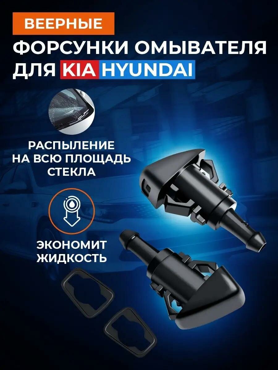 Форсунки омывателя — фото 1
