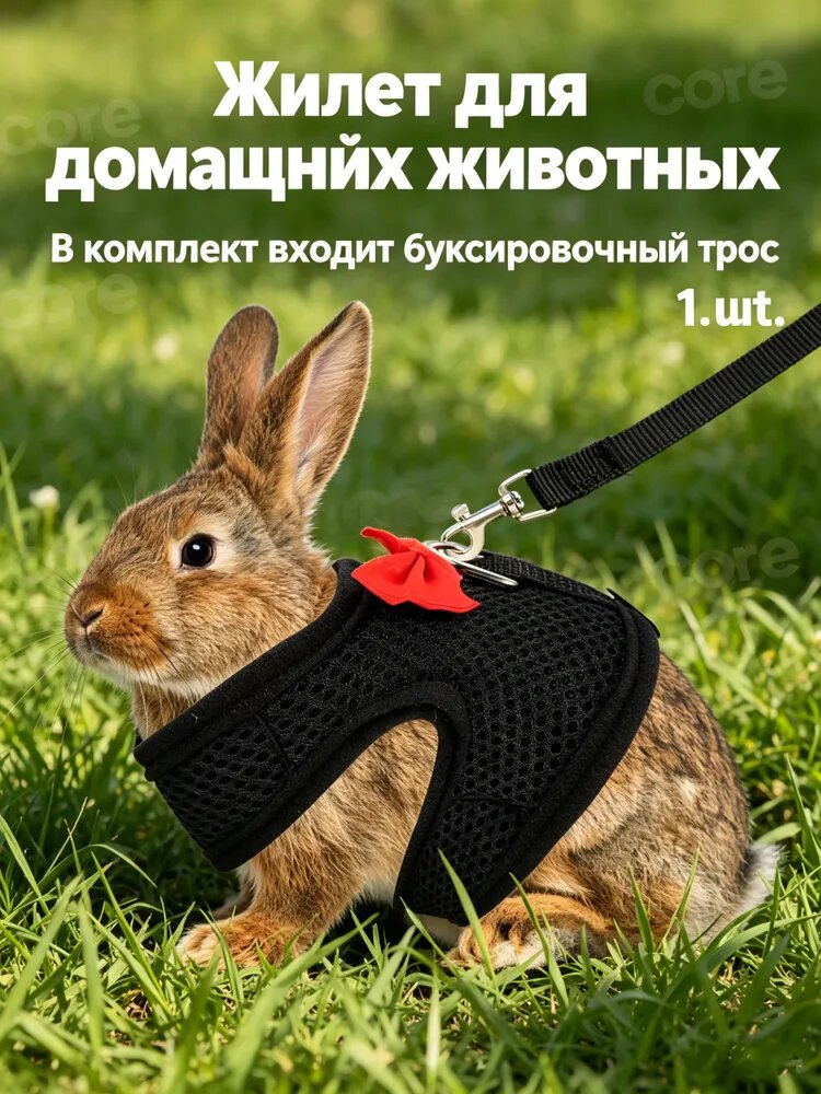 Черная шлейка из сетки с поводком для кроликов и морских свинок, для выгула и прогулок