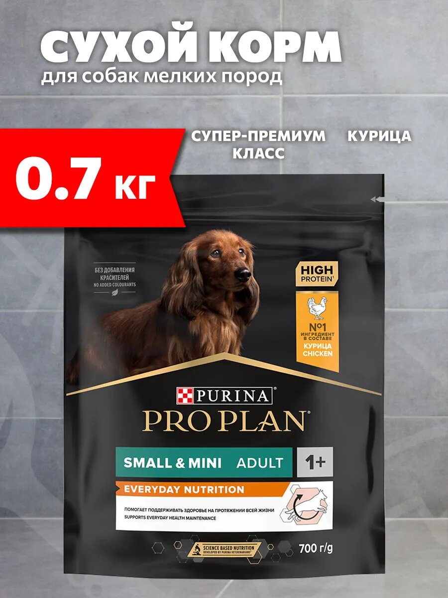 Корм сухой Pro Plan Everyday Nutrition для взрослых собак мелких и карликовых пород, курица, 0,7 кг