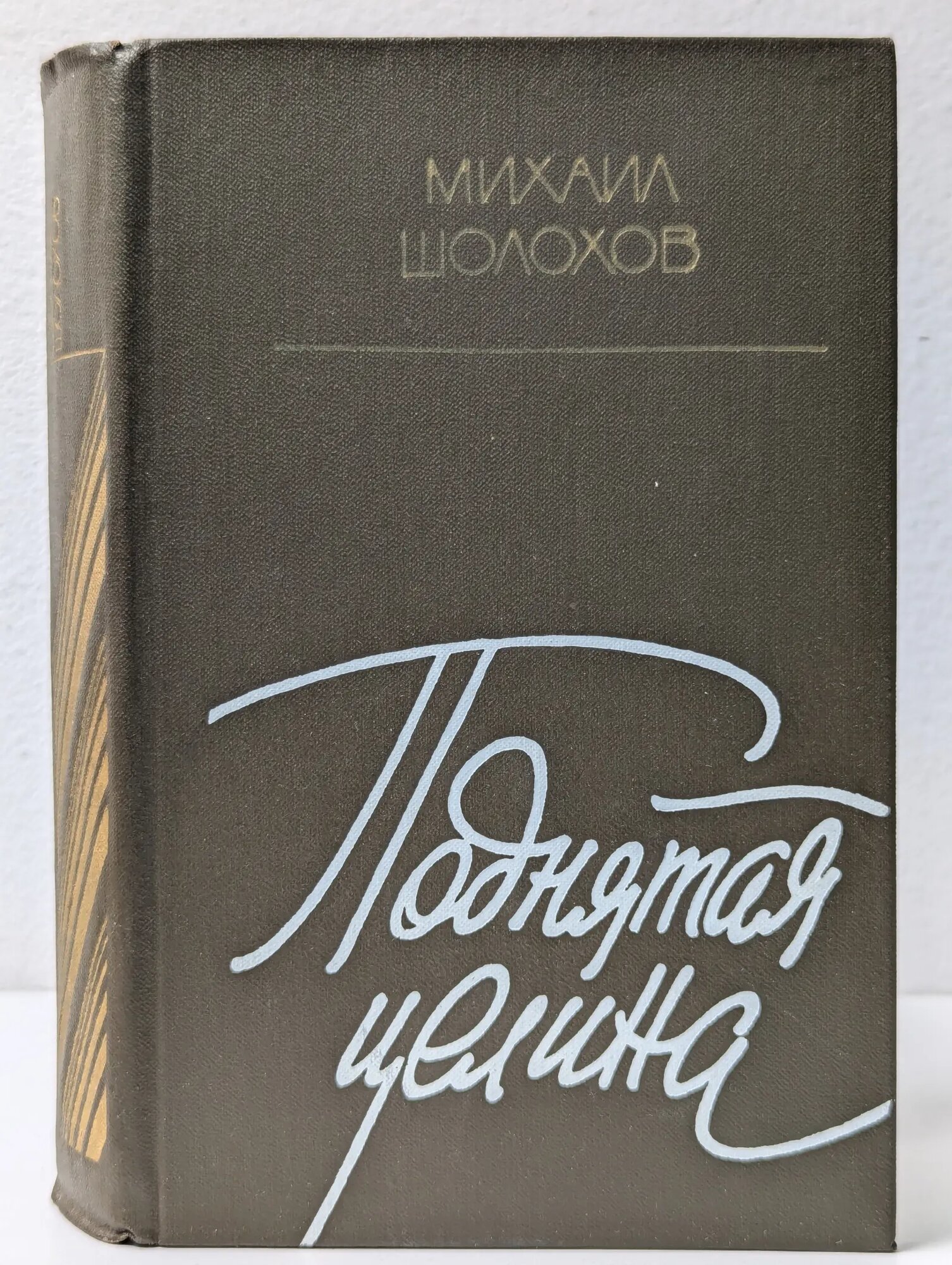 Сыновья века. Поднятая целина Шолохов Михаил Александрович 1982