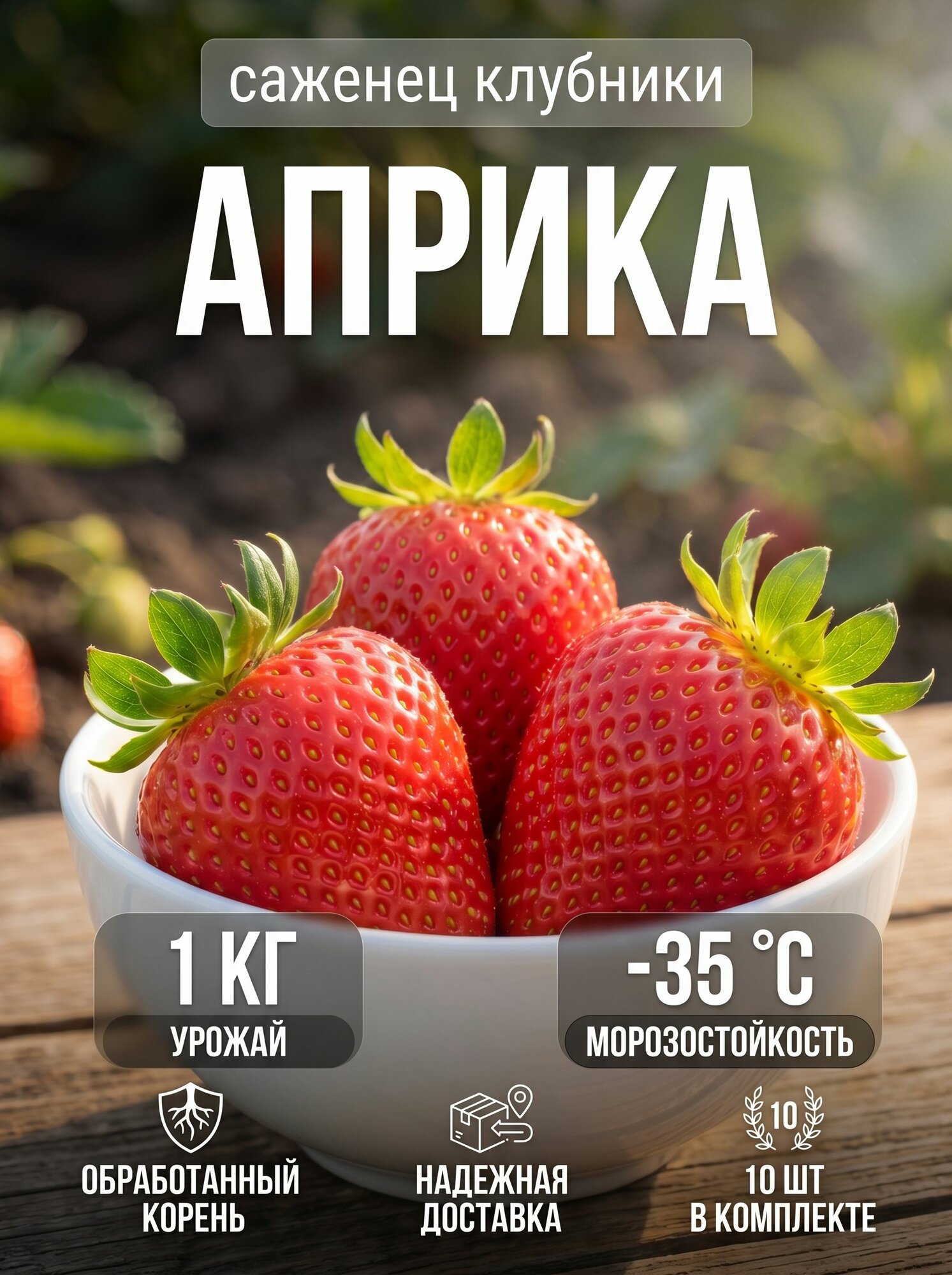 Саженцы клубники априка 10-шт доедут хоть куда