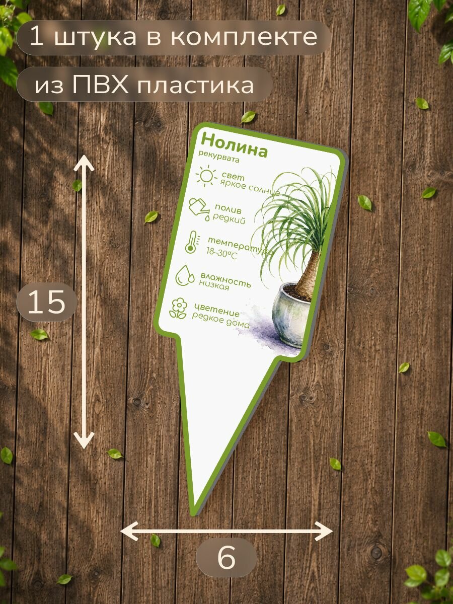 Фигурки для сада Нолина — фото 1