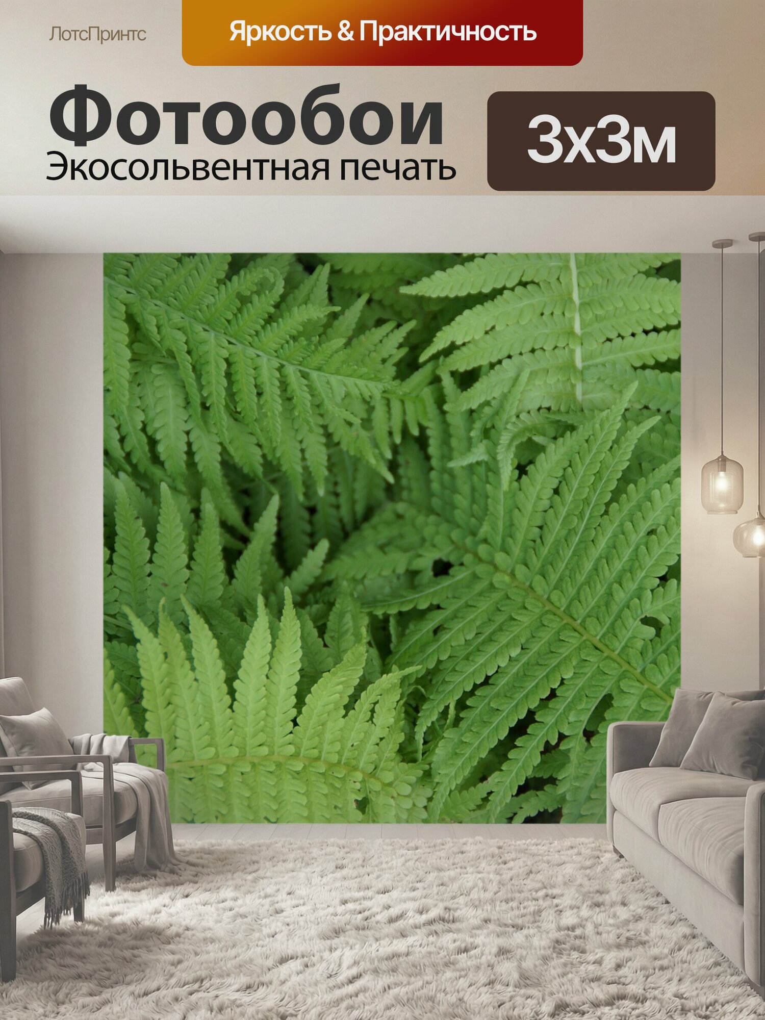 Фотообои "Папоротники, листья папоротника, папоротник" 300x300 см. экосольвентная печать