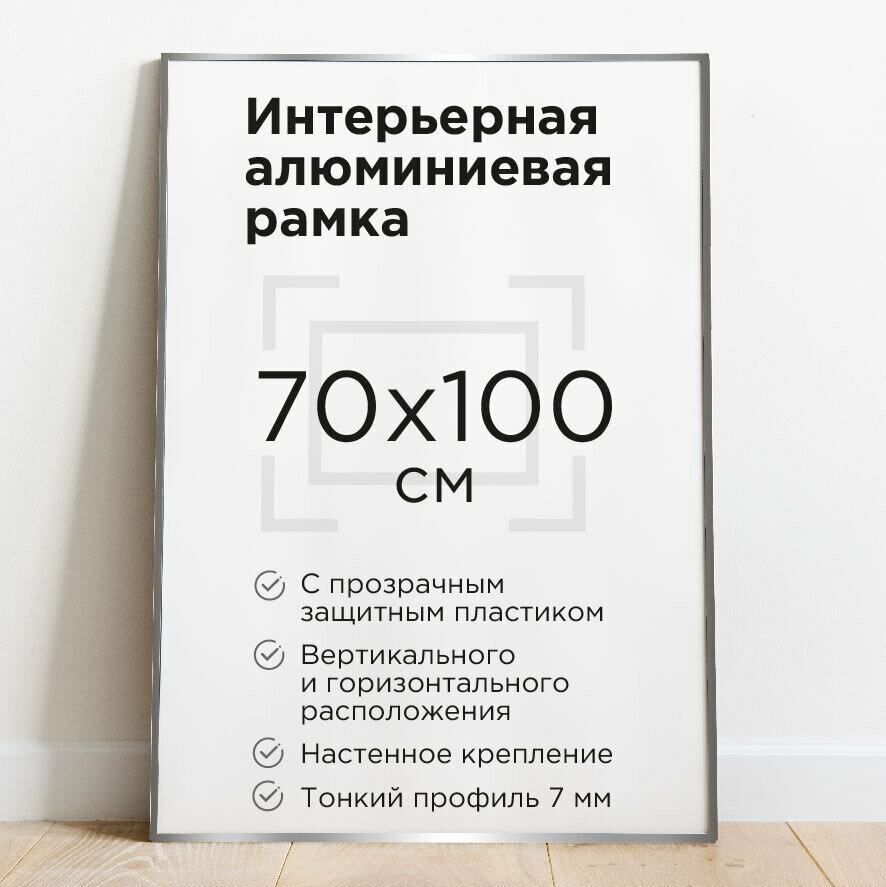Фоторамка 70х100см, цвет серебро рамка для постера, картины, плаката, алюминиевый профиль Нильсен, творчество в интерьере