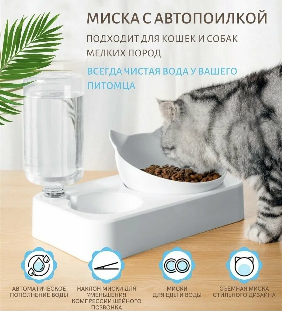Миска для животных
