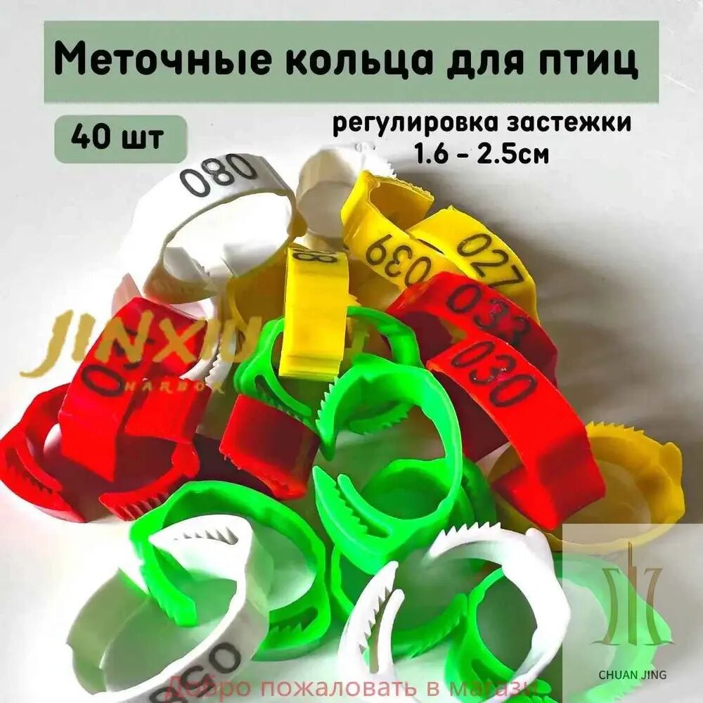 Кольцо для птицы