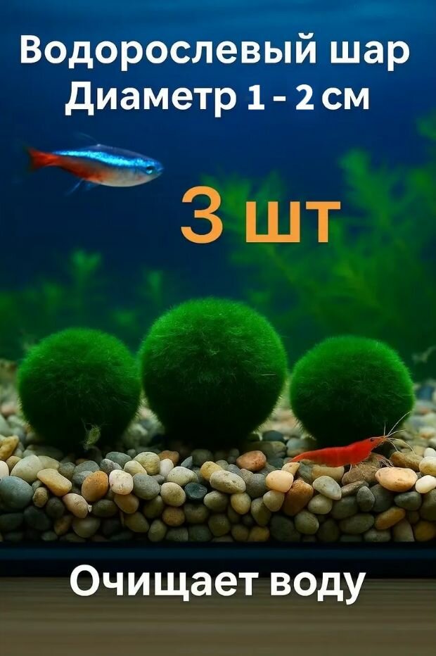 Аквариумный аквариумный шарик из морских водорослей 3 шт 1-2cm