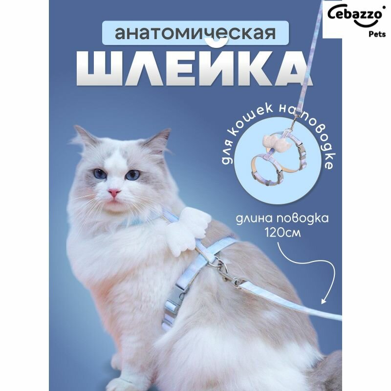 Шлейка