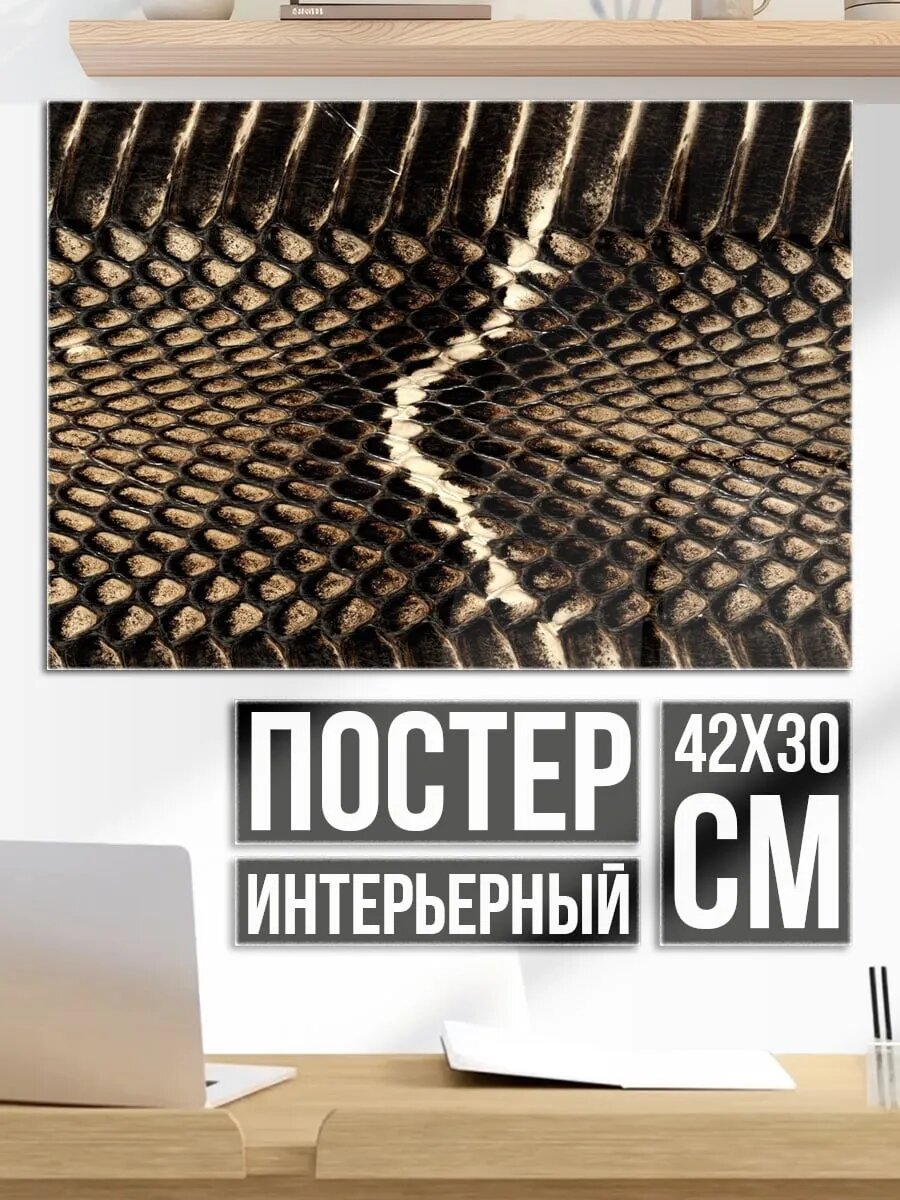 Плакат постер Узор змеиной кожи
