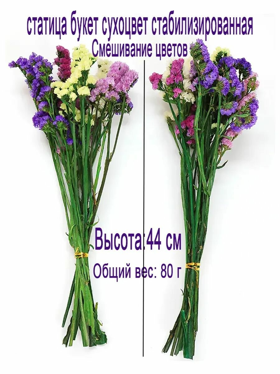 Сухоцветы Незабудка 44 см, 80 г, статица, стабилизированные, для дома, букет