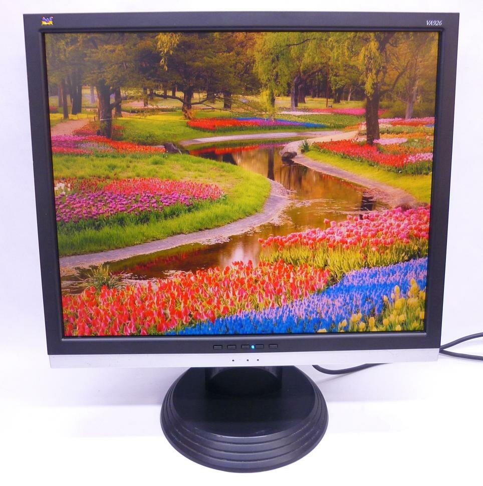Монитор 19" Viewsonic VA926 — фото 1