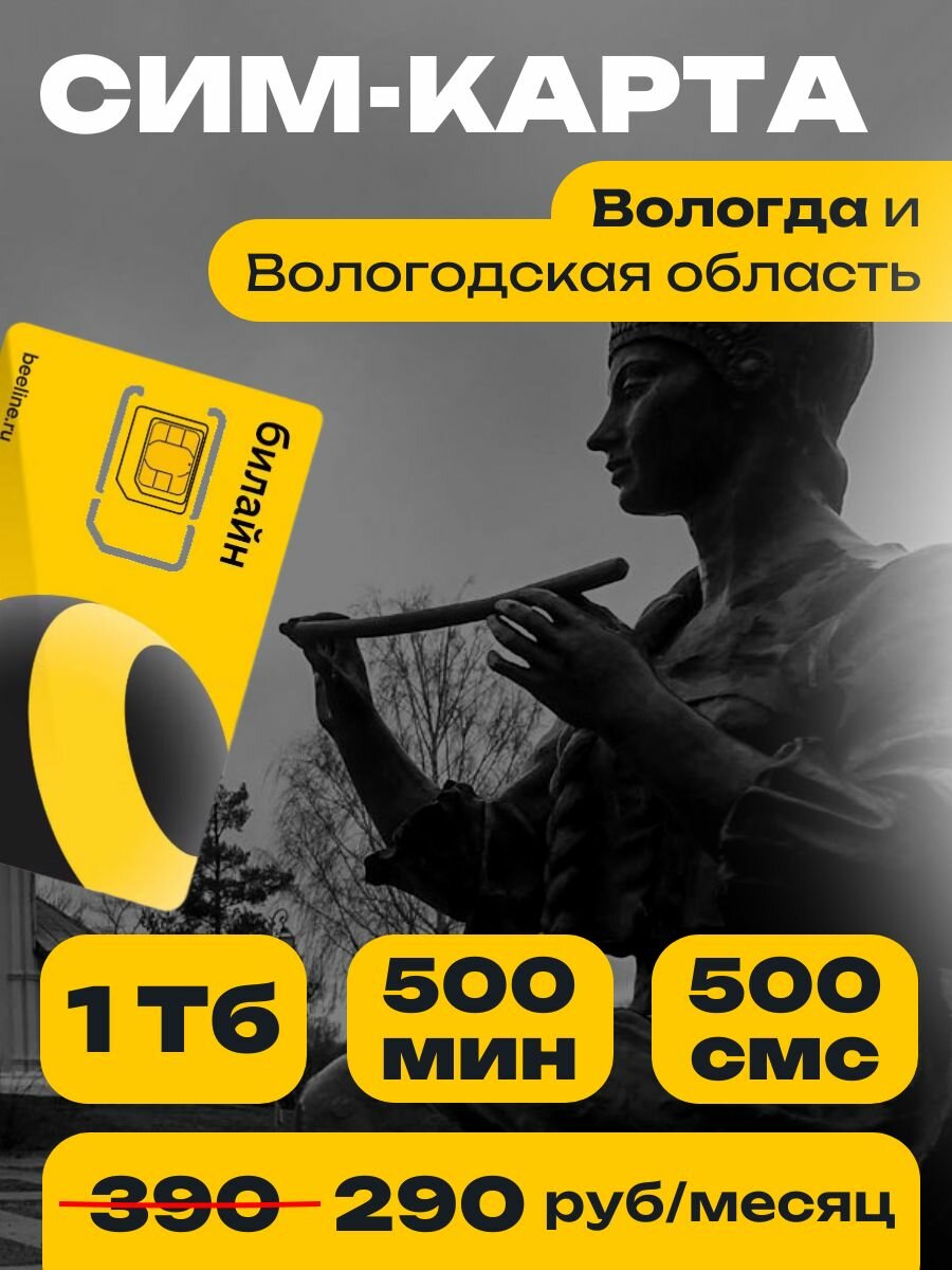 Сим-карта Билайн тариф Эксклюзивный Онлайн Лайт Вологодская область 1024 Гб + 500 минут за 290 руб.