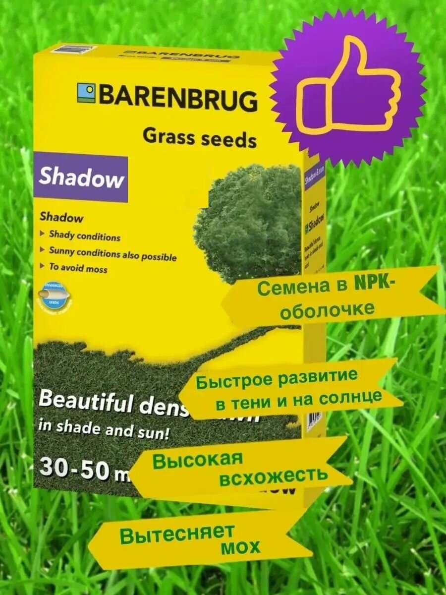 Газон голландский партерный - спортивный - засухостойкий - теневыносливый