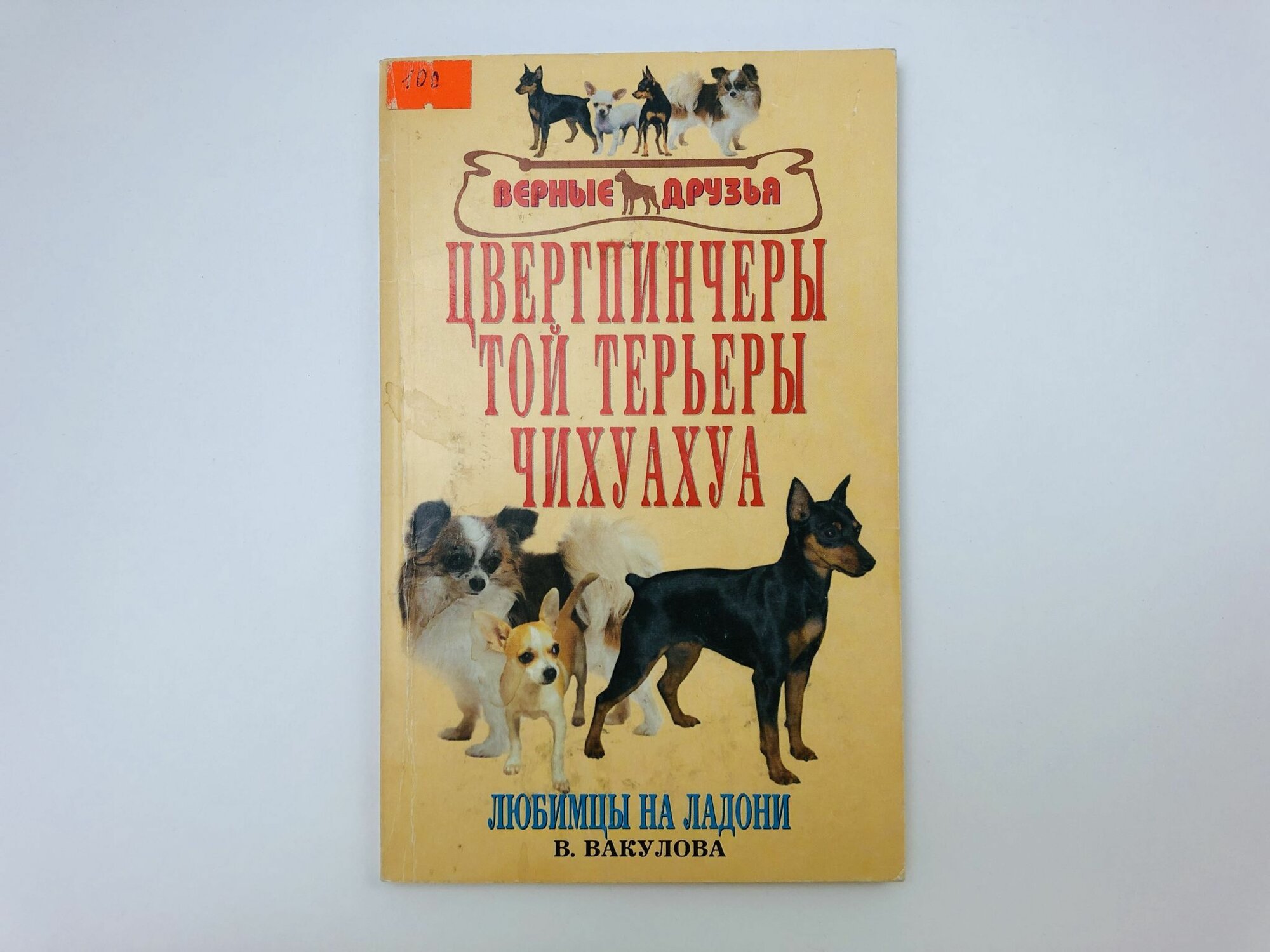 Цвергпинчеры. Той терьеры. Чихуахуа. Стандарты. Содержание и уход. Разведение. Профилактика заболеваний