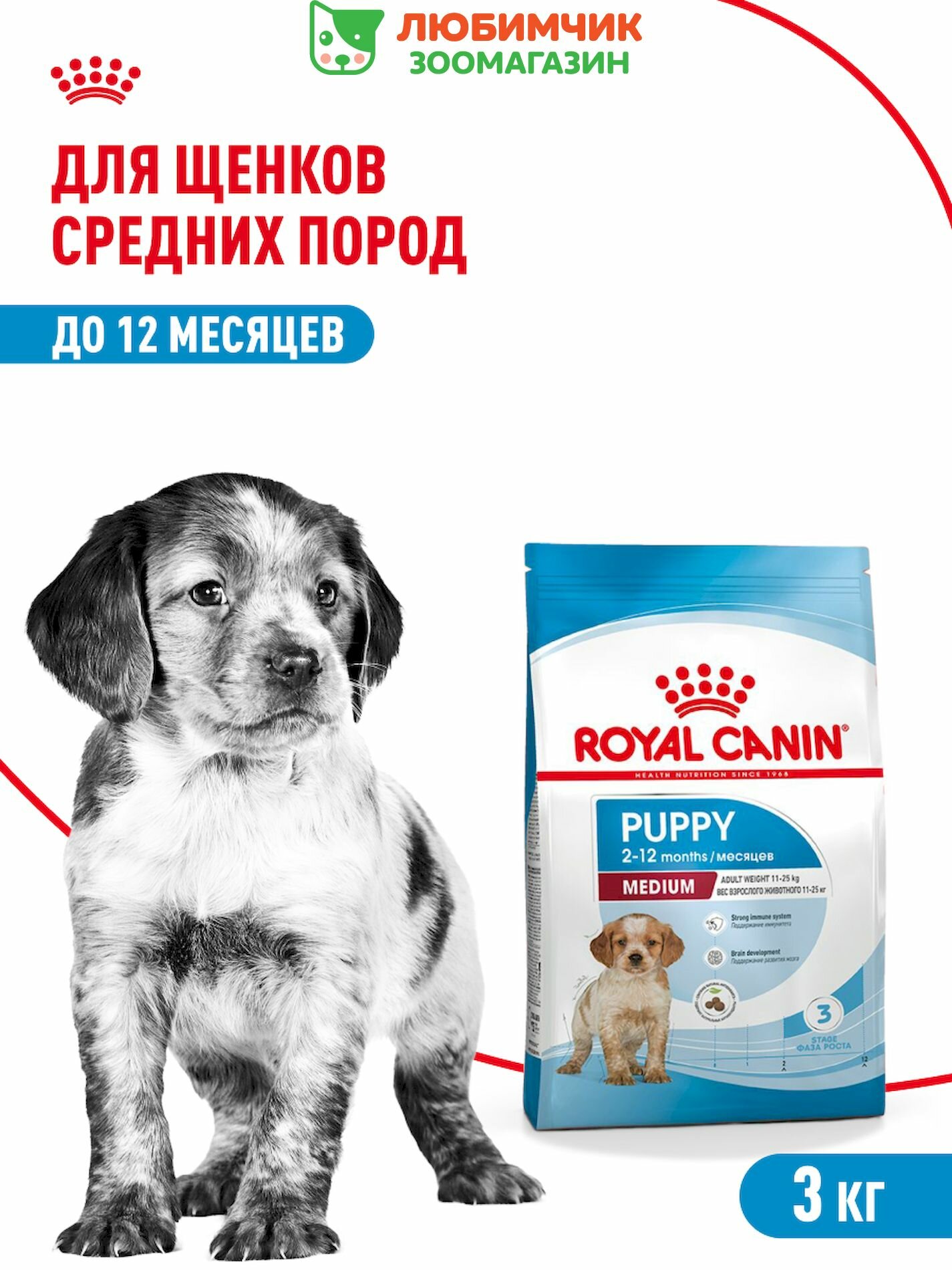 Royal Canin корм для щенков средних пород 3 кг