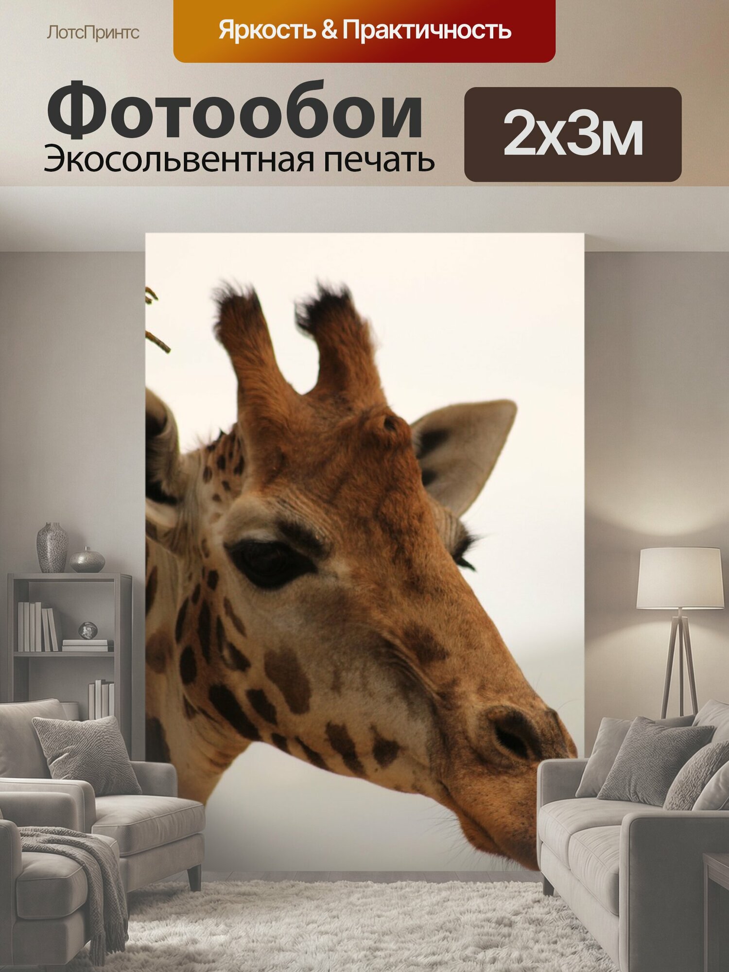 Фотообои "Жирафа, животное, голова" 200x300 см. экосольвентная печать