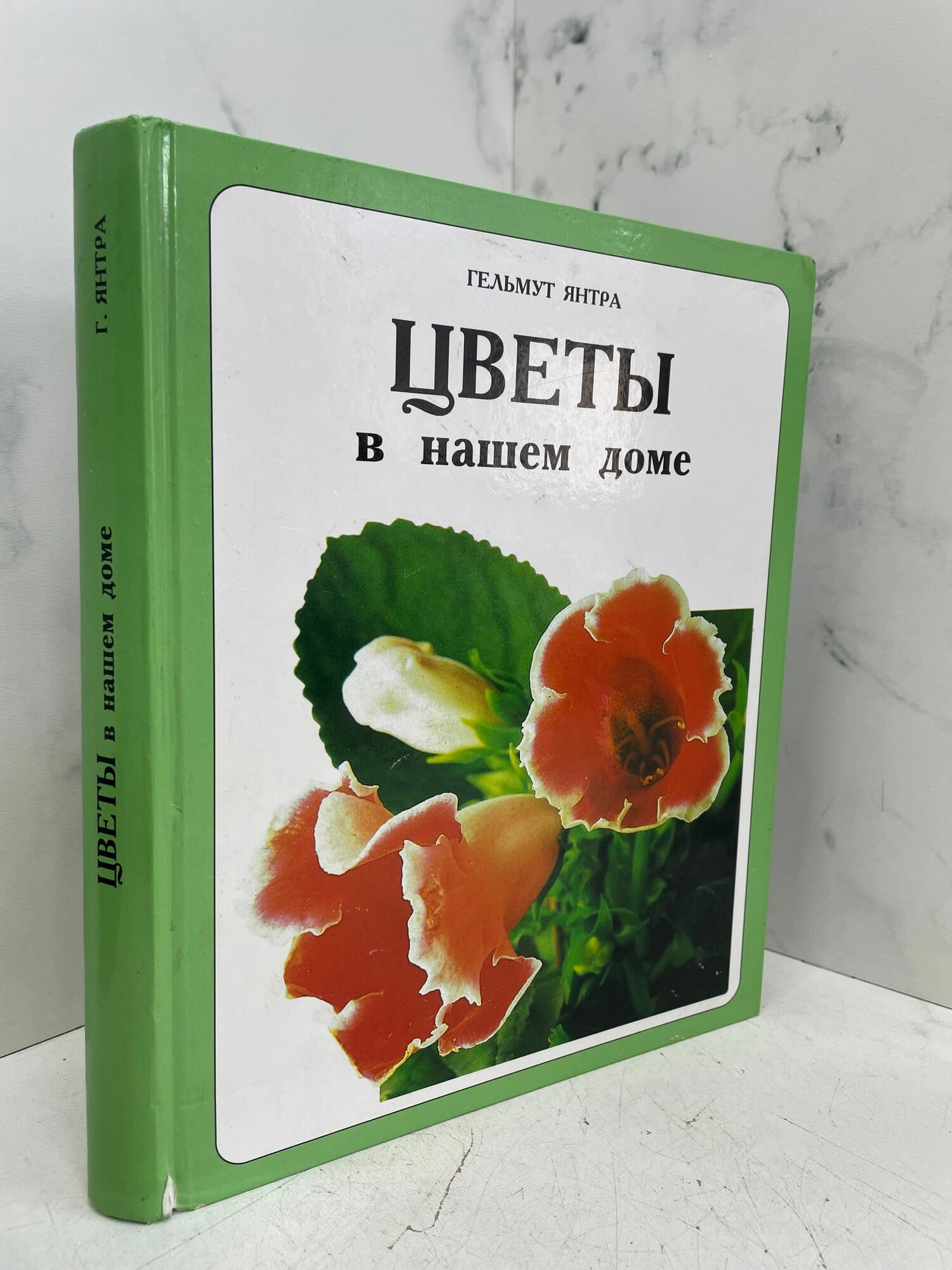 Цветы в нашем доме