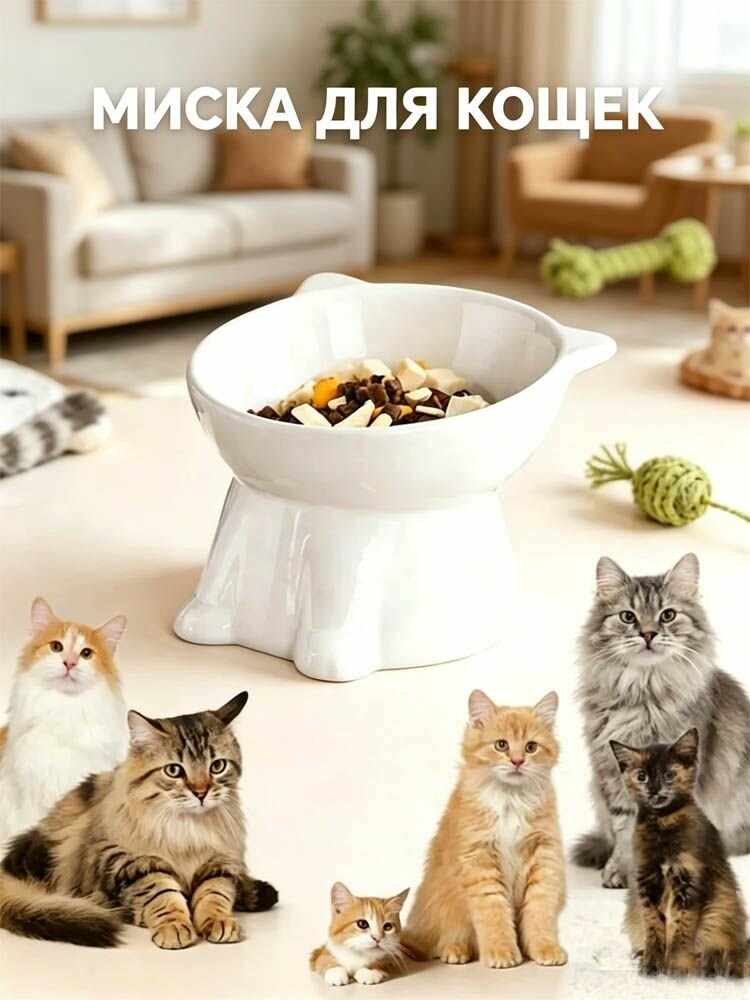Кошачья Еда Чаша — фото 1