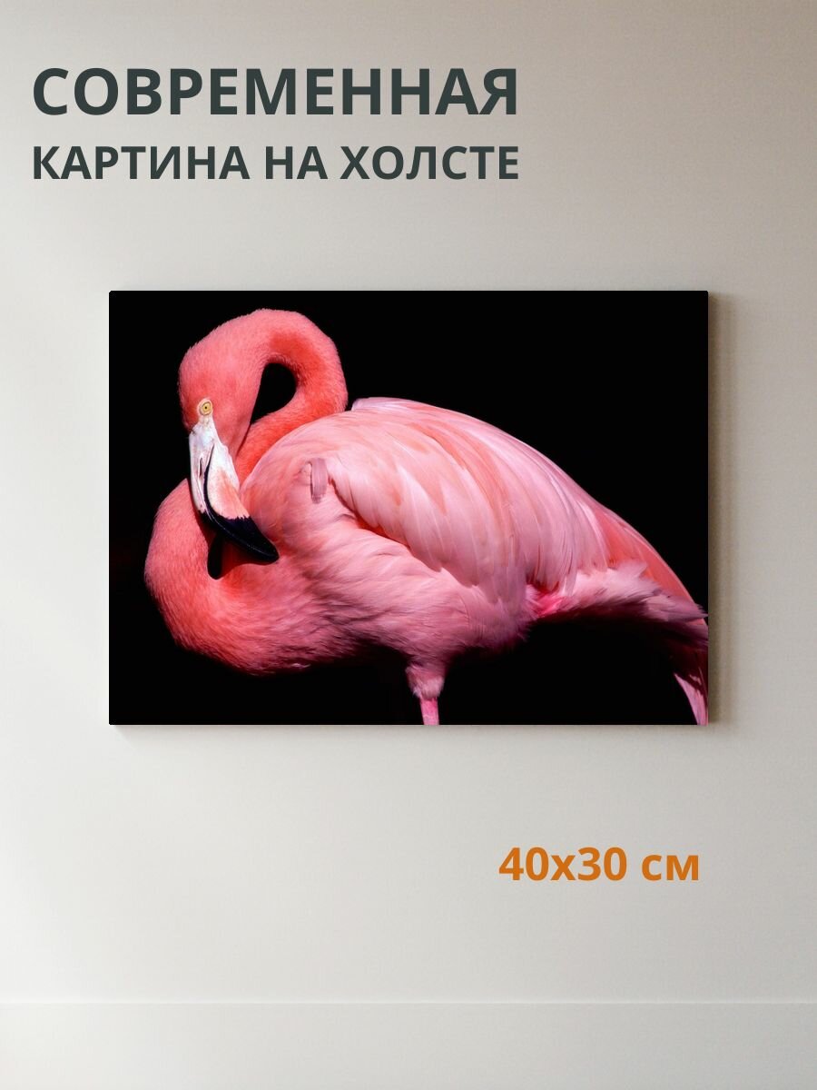 Картина на холсте Декоративный сюжет 40x30 см
