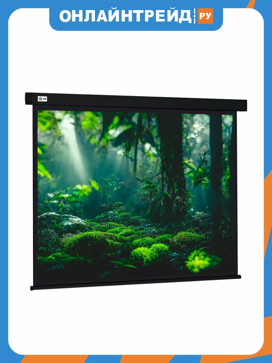 Экран Cactus 213x213см Wallscreen CS-PSW-213X213-BK 1:1 настенно-потолочный рулонный черный