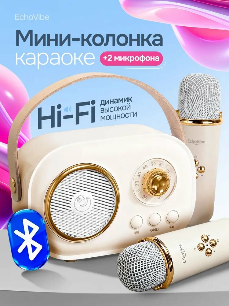 Караоке система с двумя микрофонами / мини колонка / микрофон детский