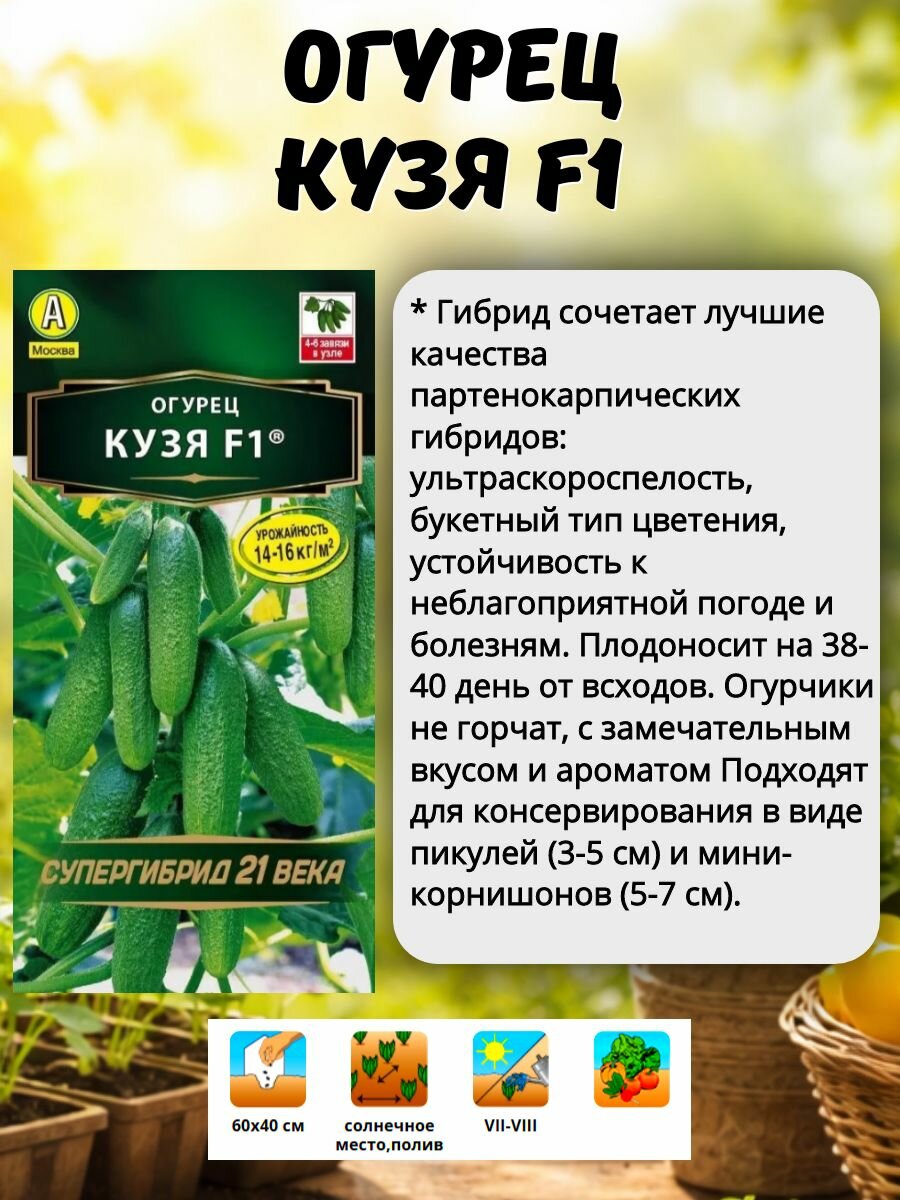 Семена огурцов - Кузя сорт Кузя огурцы — фото 1