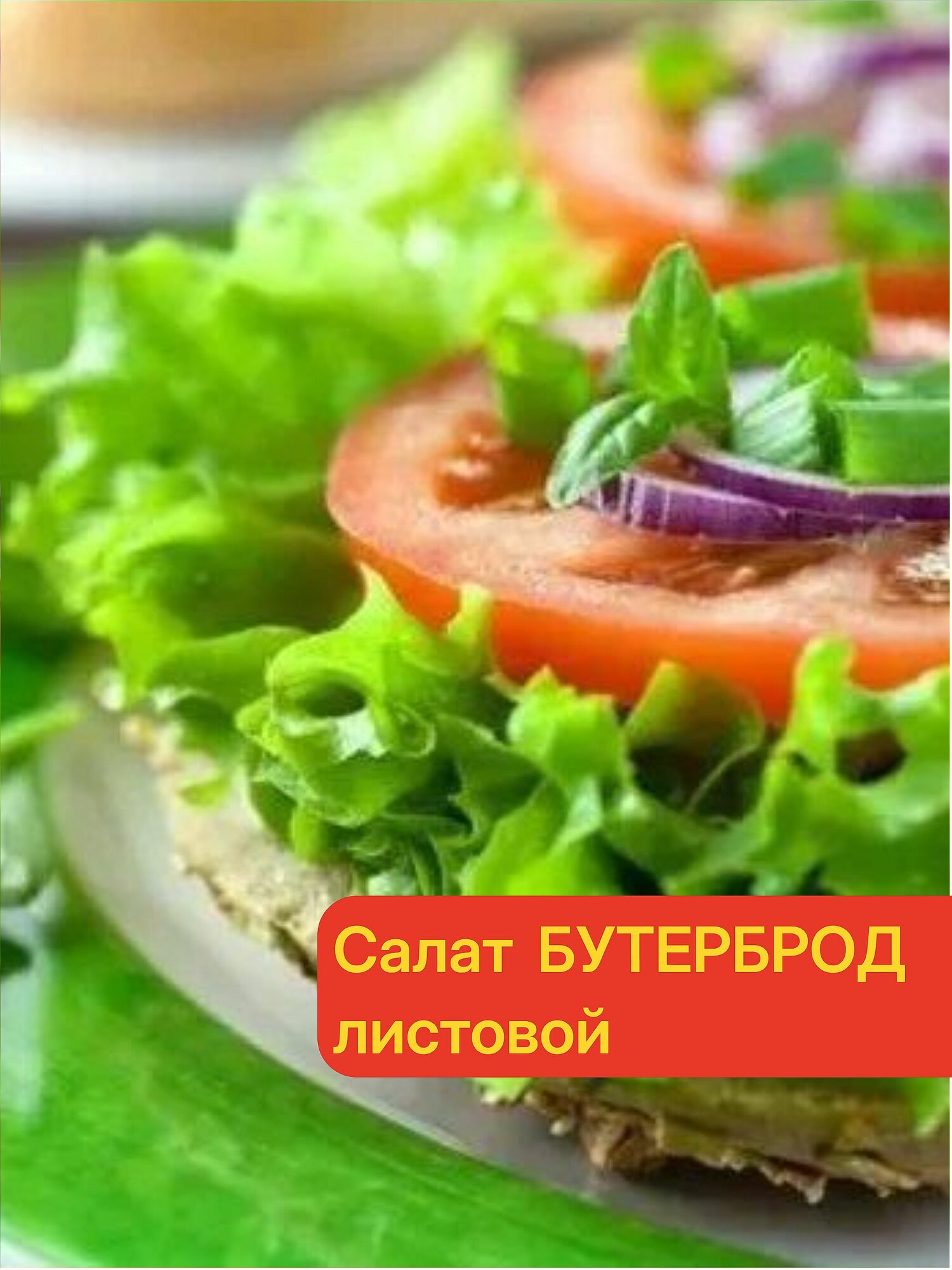 Салат бутерброд листовой - Двойная граммовка! / Семена 1 гр. - Агрофирма аэлита листовой салат семена 1г двойная граммовка для бутербродов