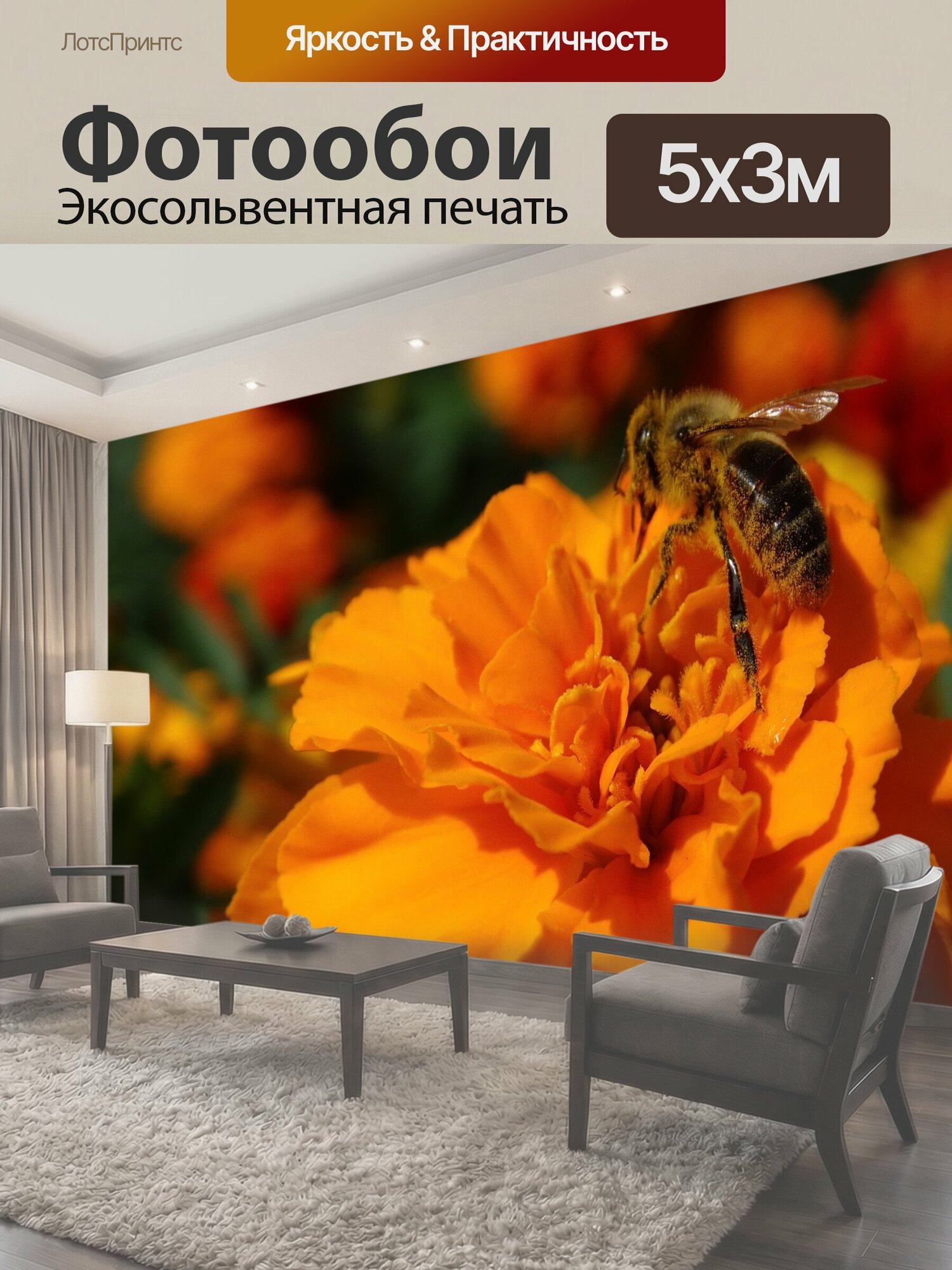 Фотообои "Бархатцы, цветок, цвести" 500x300 см. экосольвентная печать