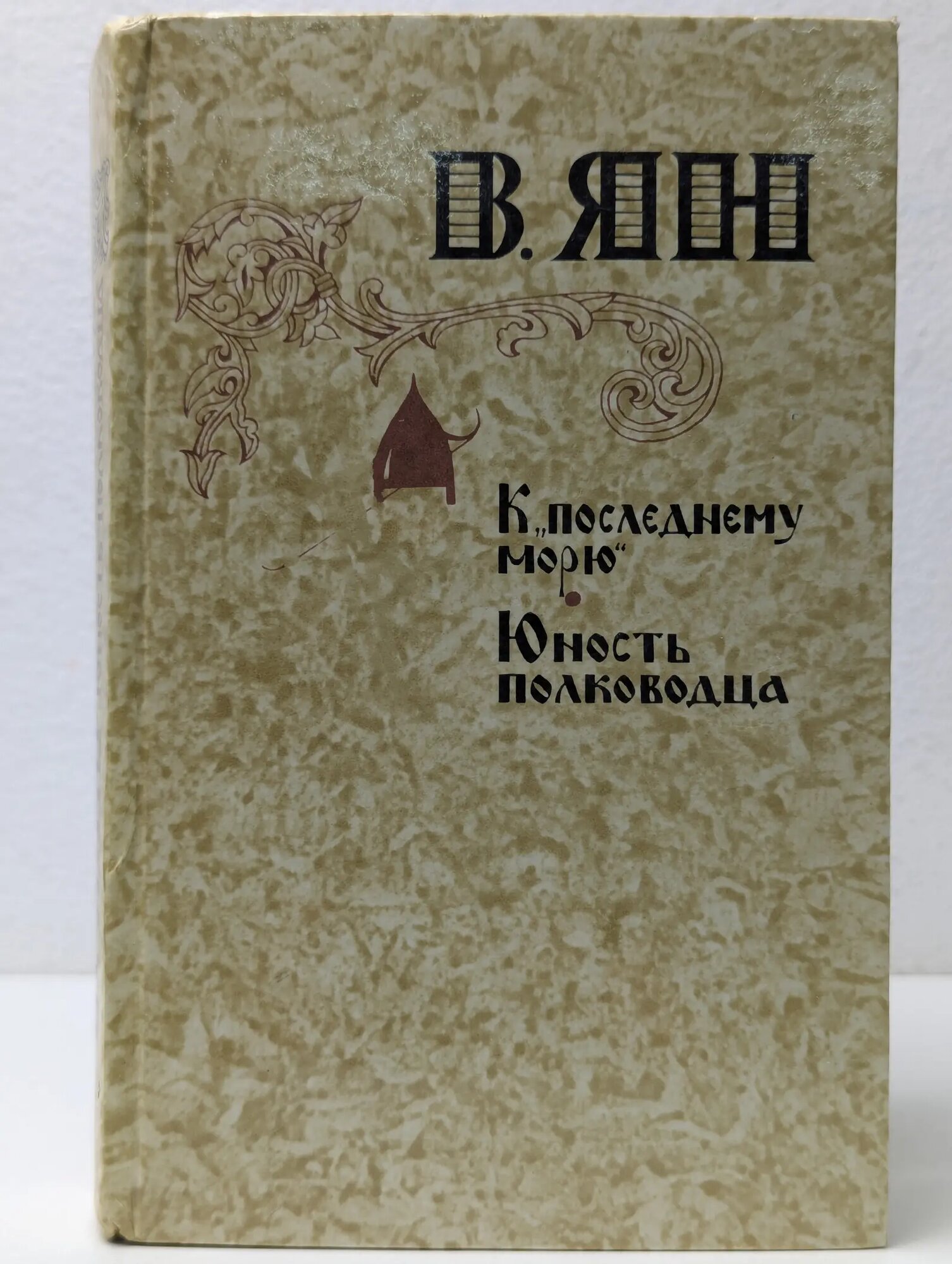 К последнему морю. Юность полководца Ян Василий Григорьевич 1981