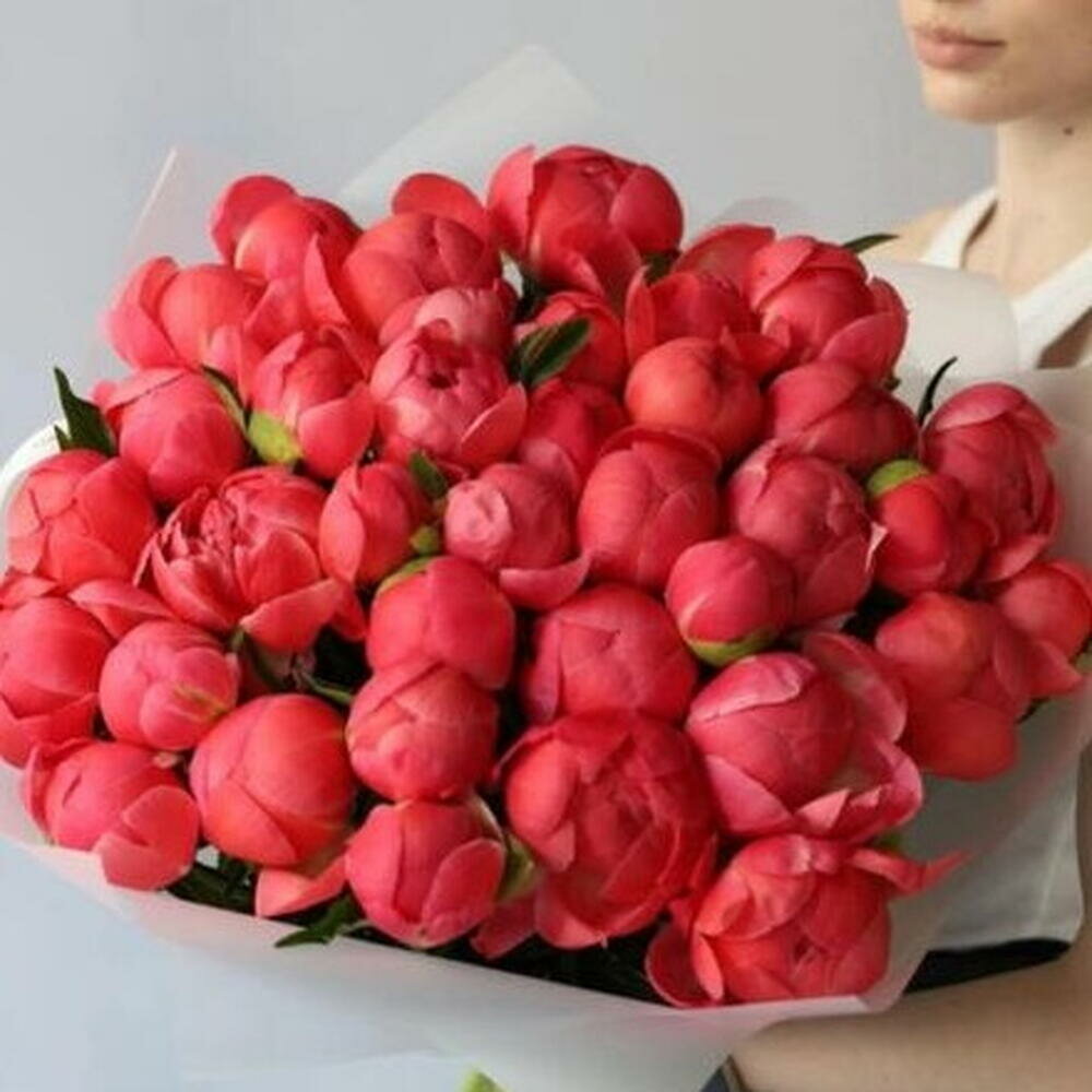 Букет коралловых пионов (59шт)