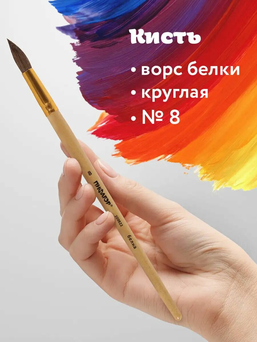 Кисть Пифагор, белка, круглая, № 8, деревянная лакированная ручка, с колпачком, пакет с подвесом с колпачком пакет с подвесом круглая белка №8