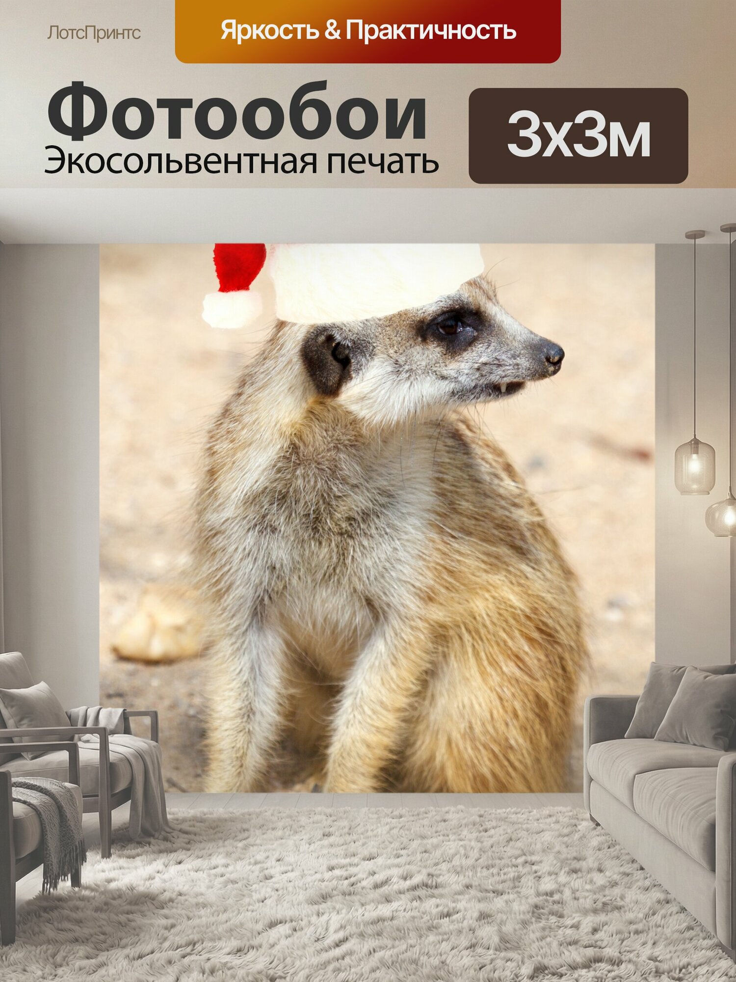 Фотообои "Рождество сурикат Meerkat шляпе Санты животное рождество милые лицо шляпа праздник млекопитающих Meerkat красный сафари Санта." 300x300 см. экосольвентная печать
