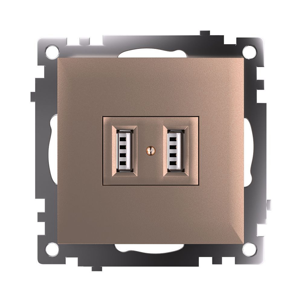 Розетка USB двухместная GLS10-7115-02, 250B, 2,1A, серия Катрин, шампань (без рамки), STEKKER 39602