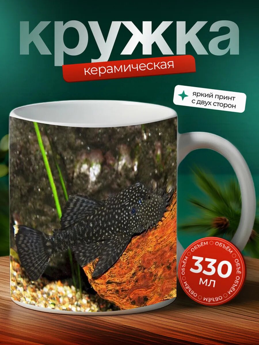Кружка Анциструс рыбка,