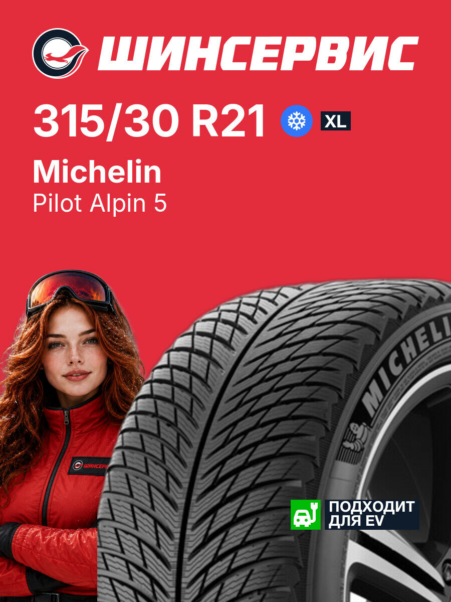Зимняя нешипованная шина Michelin Pilot Alpin 5 315/30 R21 105 V, зимняя автомобильная резина