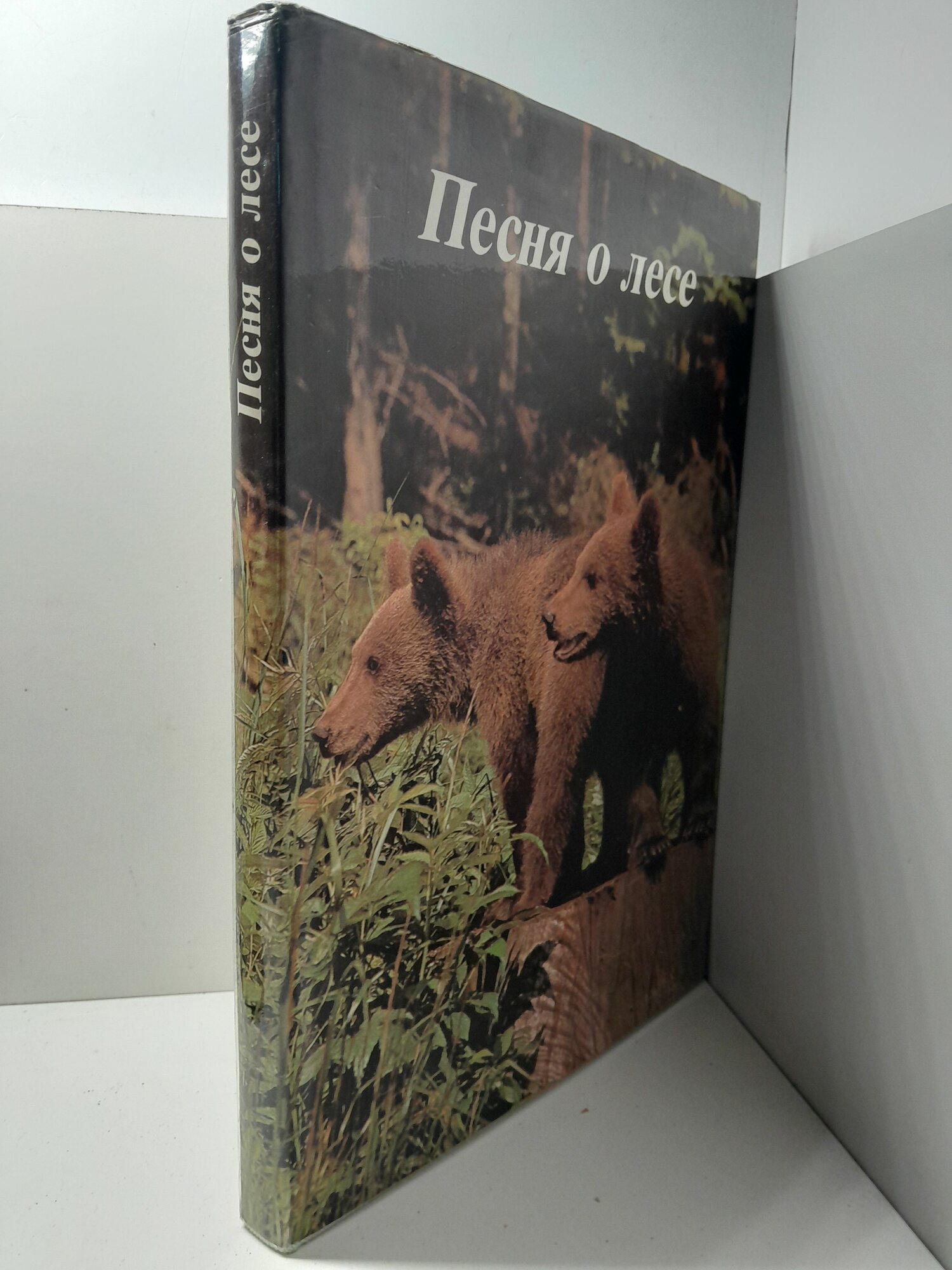 Песня о лесе / Мирослав Валек, Индро и Здено Влах