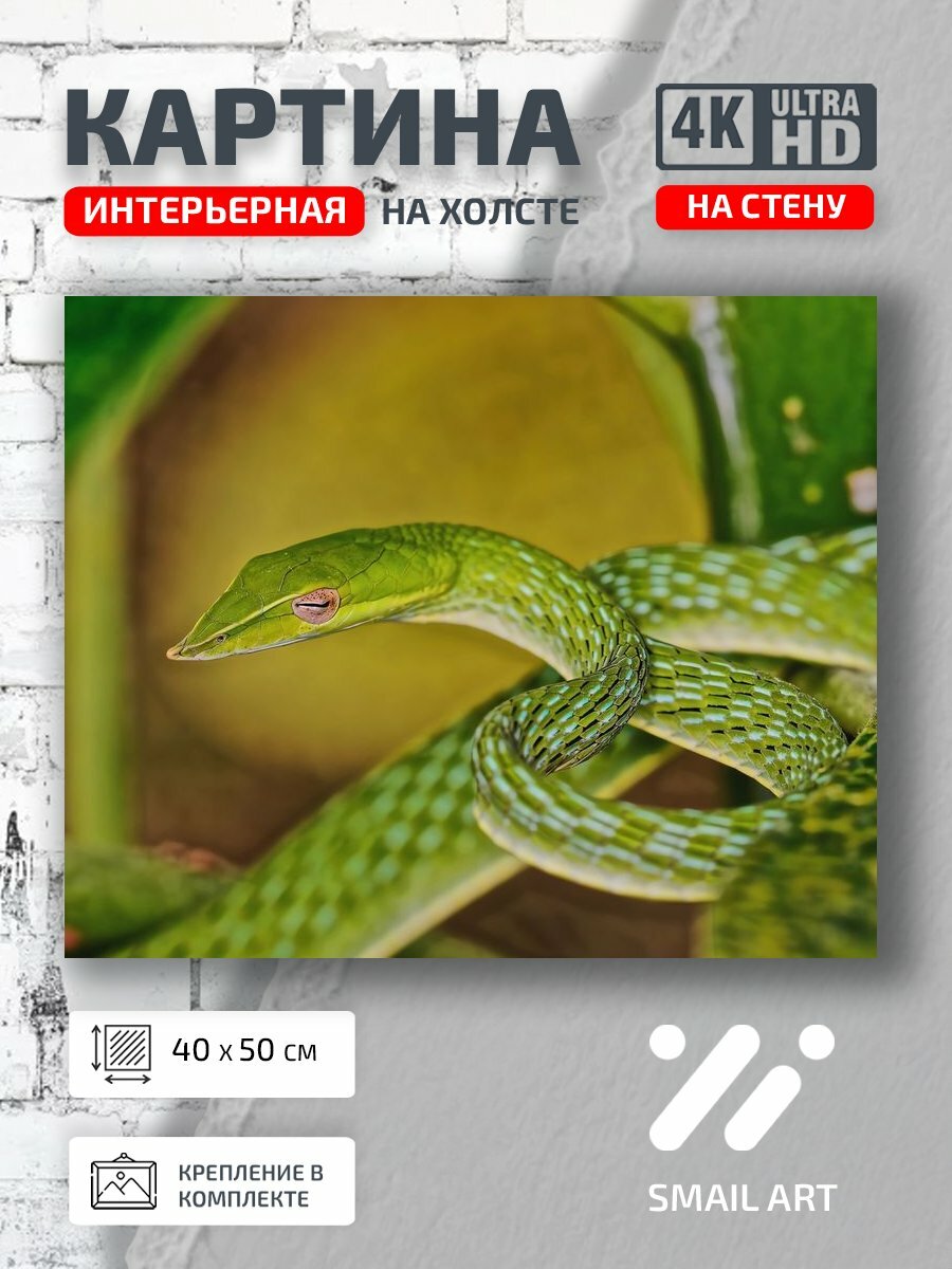 Картина на холсте интерьерная 40 на 50 на стену Змея Landscape для офиса пейзаж интерьер