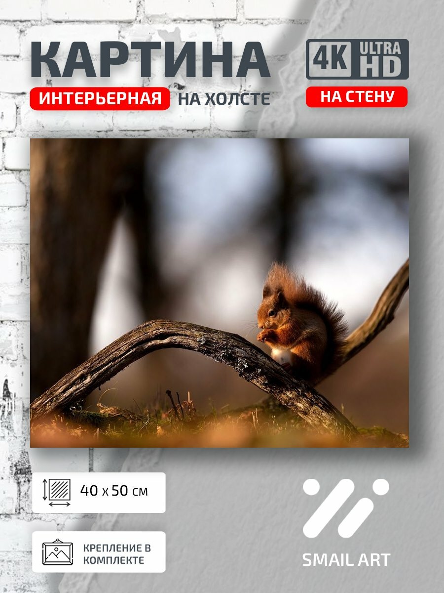 Картина на холсте интерьерная 40 на 50 на стену Веточке Mood для кабинета атмосфера декор