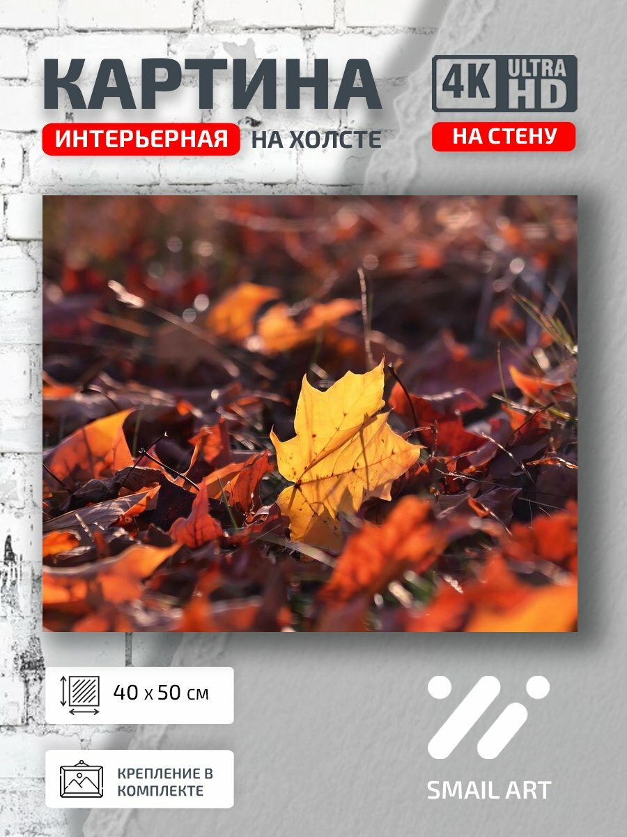 Картина на холсте интерьерная 40 на 50 на стену Осень Landscape для кабинета пейзаж декор