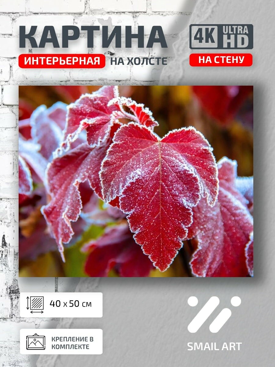 Картина на холсте интерьерная 40 на 50 на стену листья иней для офиса атмосфера