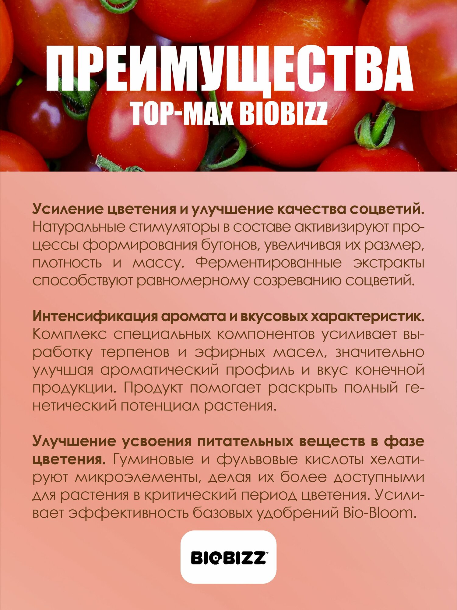 Стимулятор цветения TopMax BioBizz 5 л — фото 1