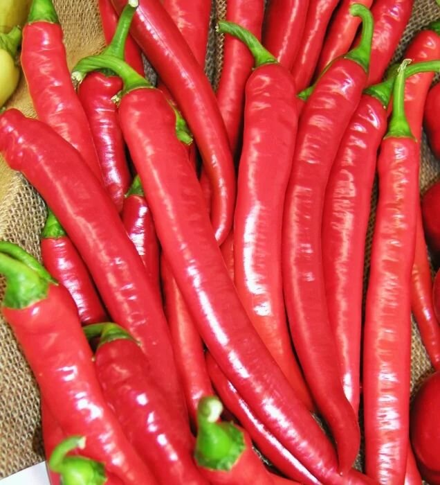 Коллекционные семена перца острого Пламень