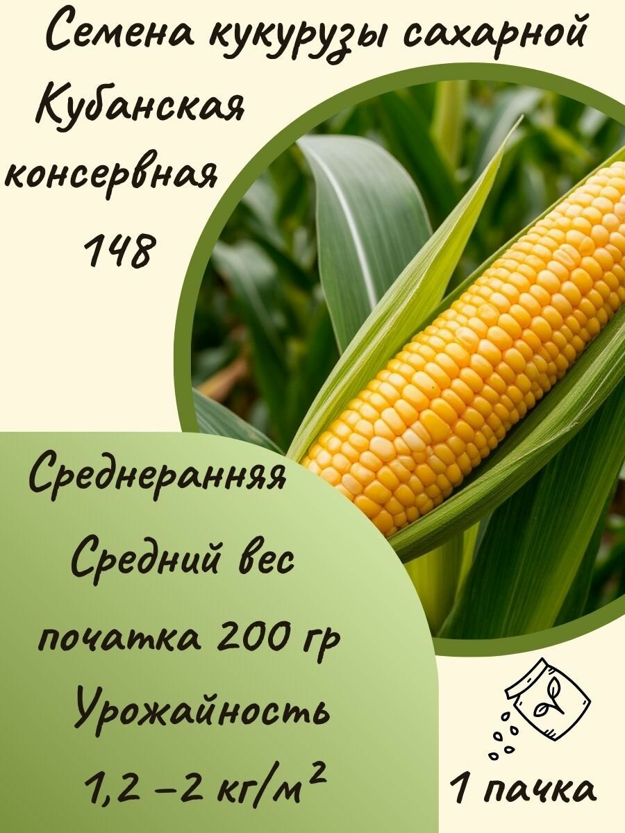Семена кукурузы сахарной Кубанская консервная 148, 10 шт. семян