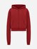 Худи ARLIGENT SS'25