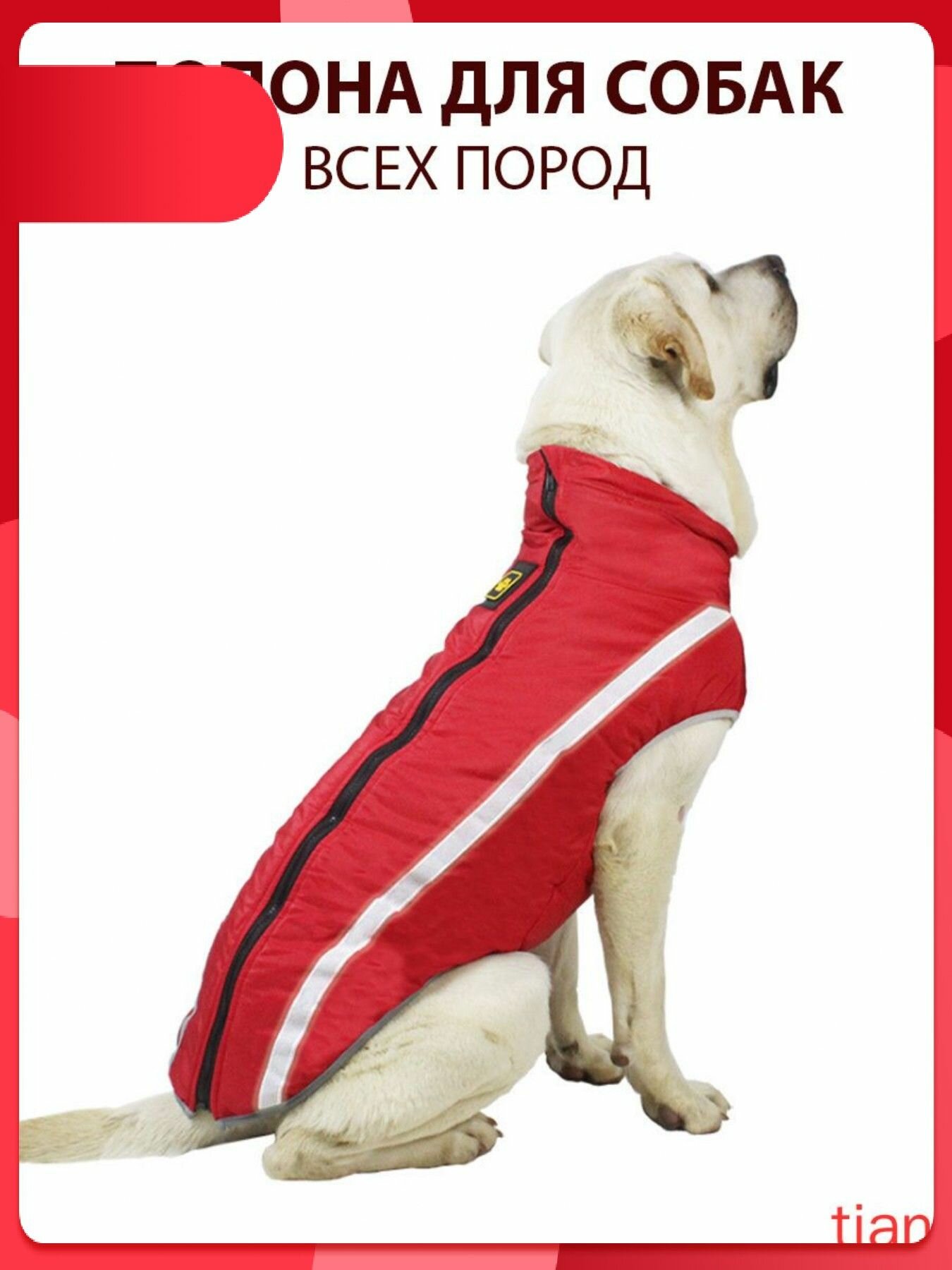Одежда для животных