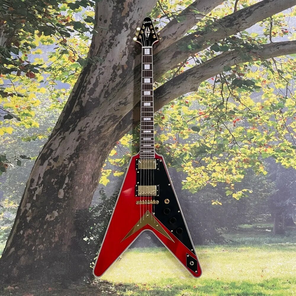 Электрогитара Электроакустическая Flying V 6-струнная_012 6-струнная