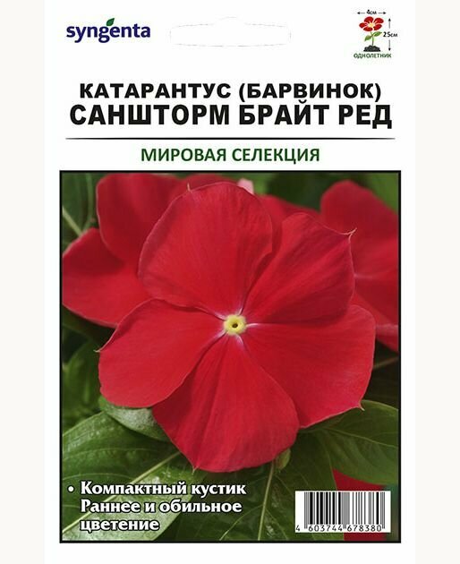 Катарантус (барвинок) Саншторм Брайт Ред 7 шт (мировая селекция)