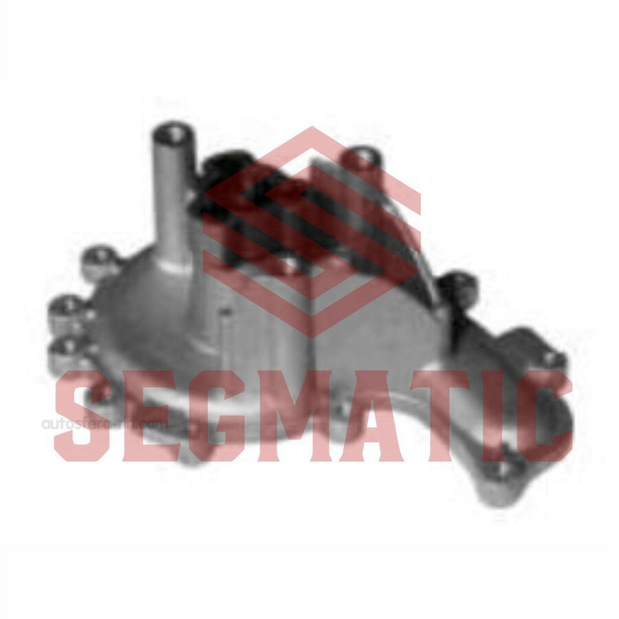 SEGMATIC SGWP6140 Водяной насос Citroen Jumper (250) (06-), Fiat Ducato (250, 290) (06-), Ford Transit VII, Peugeot B SGWP6140
